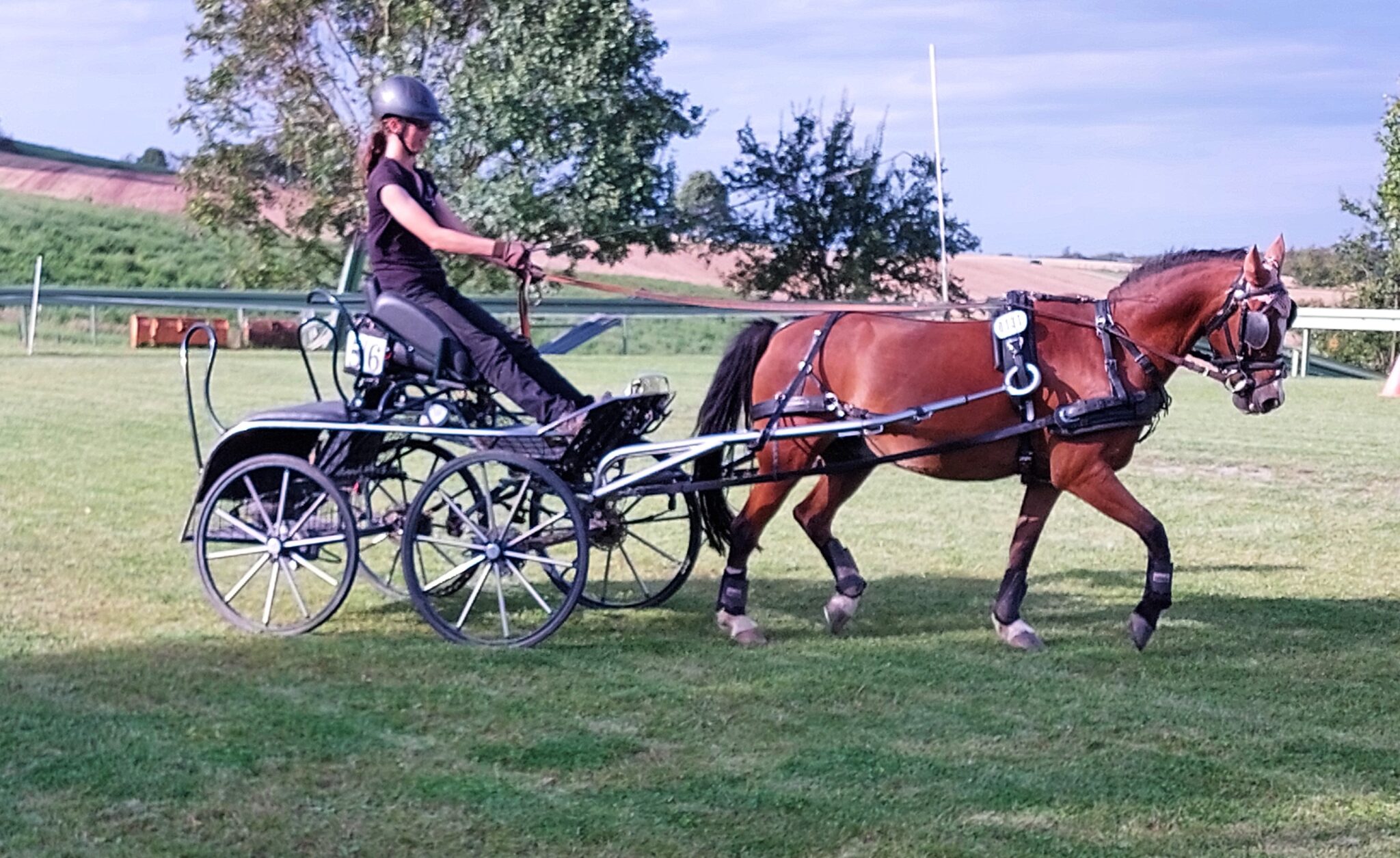 Twister (1) – IG Welsh